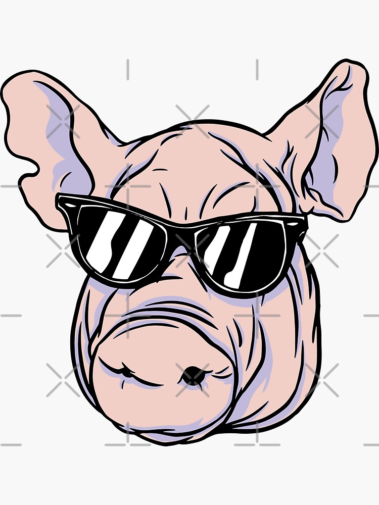 "Pig pig head" Sticker by DerSenat | Redbubble