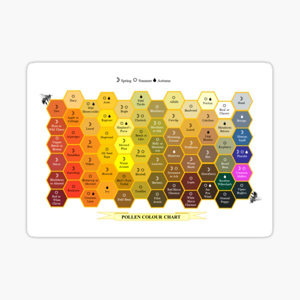 "Honey Bee Pollen Chart" Sticker by Stoatilicious | Redbubble