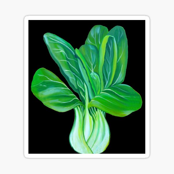 "Bok Choy" Sticker by veroniqueayac | Redbubble