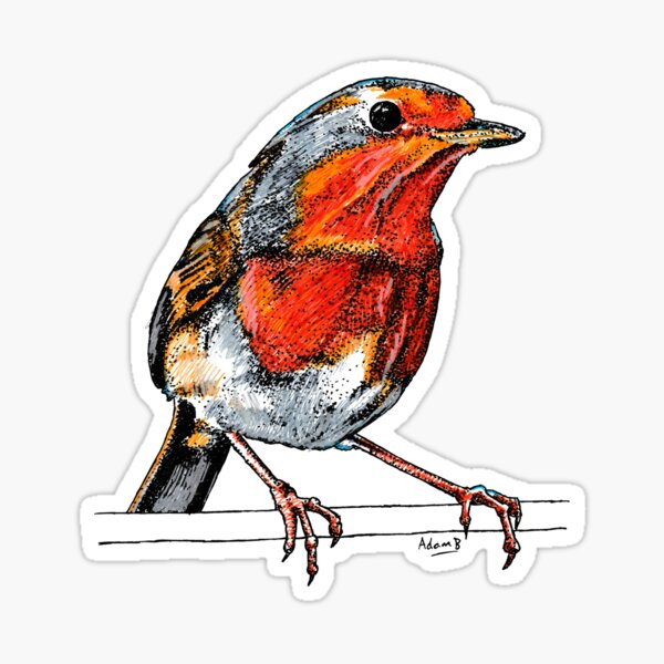 "Red Robin" Sticker for Sale by adam-bullock | Redbubble