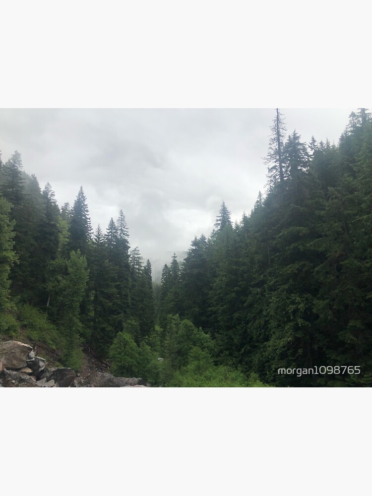 "Foggy Treeline" Sticker for Sale by morgan1098765 | Redbubble