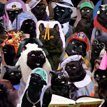 "Salem the cat Collage " Essential T-Shirt for Sale by KaraCroft ...