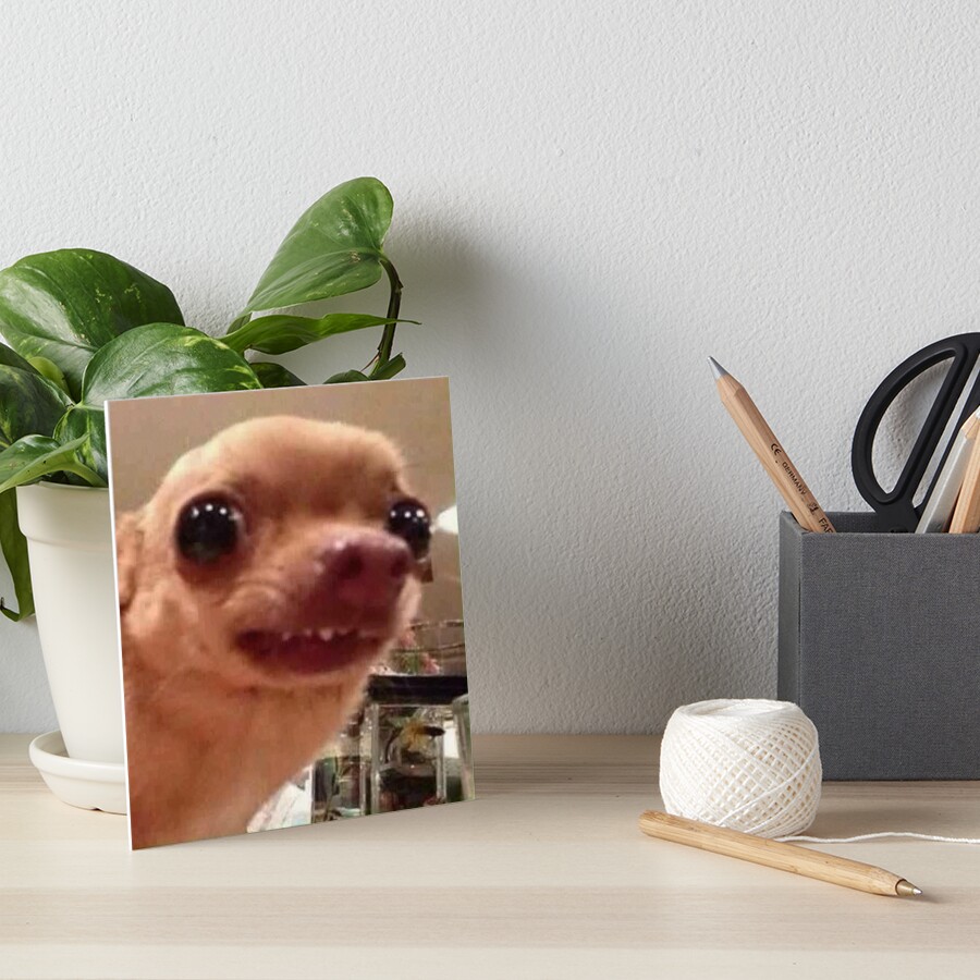 "Cute little Chihuahua meme" Photographic Print by los-memes | Redbubble