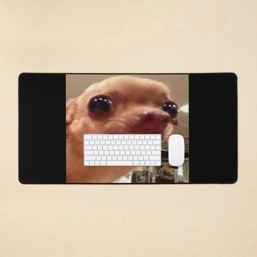 "Cute little Chihuahua meme" Photographic Print by los-memes | Redbubble
