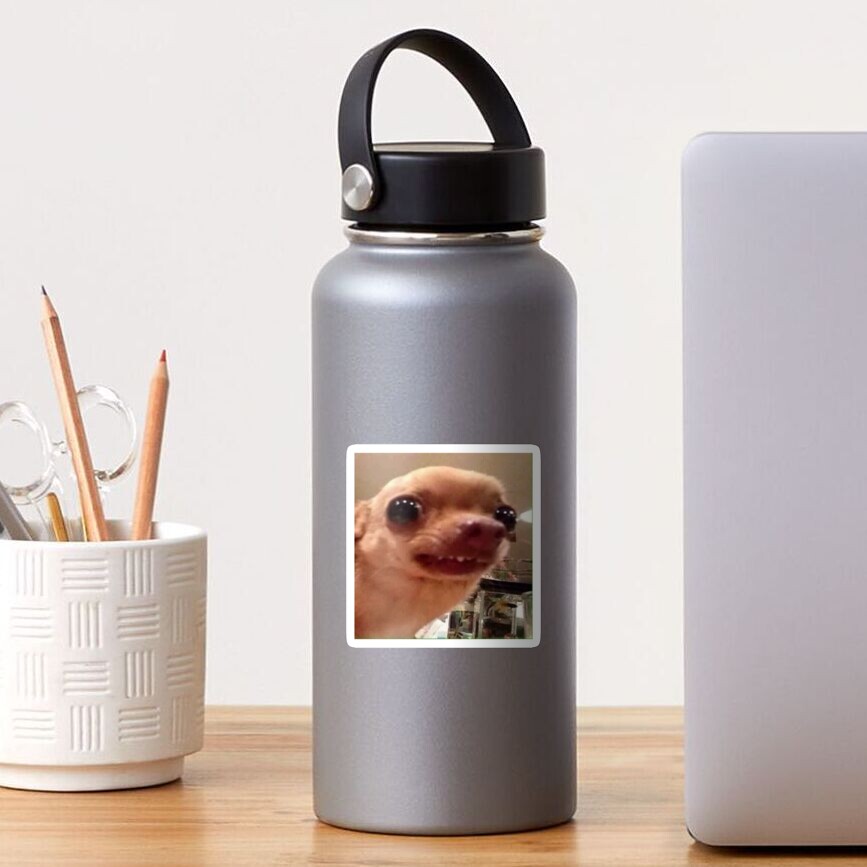 "Cute little Chihuahua meme" Sticker by los-memes | Redbubble