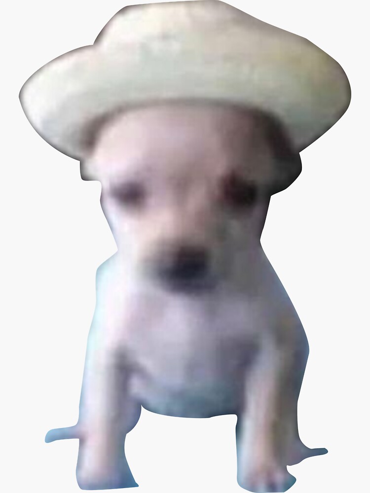 Pegatina «Lindo perrito mexicano meme» de los-memes | Redbubble