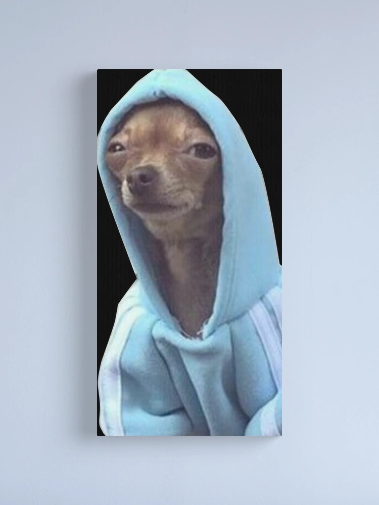 Dog In Hoodie Meme