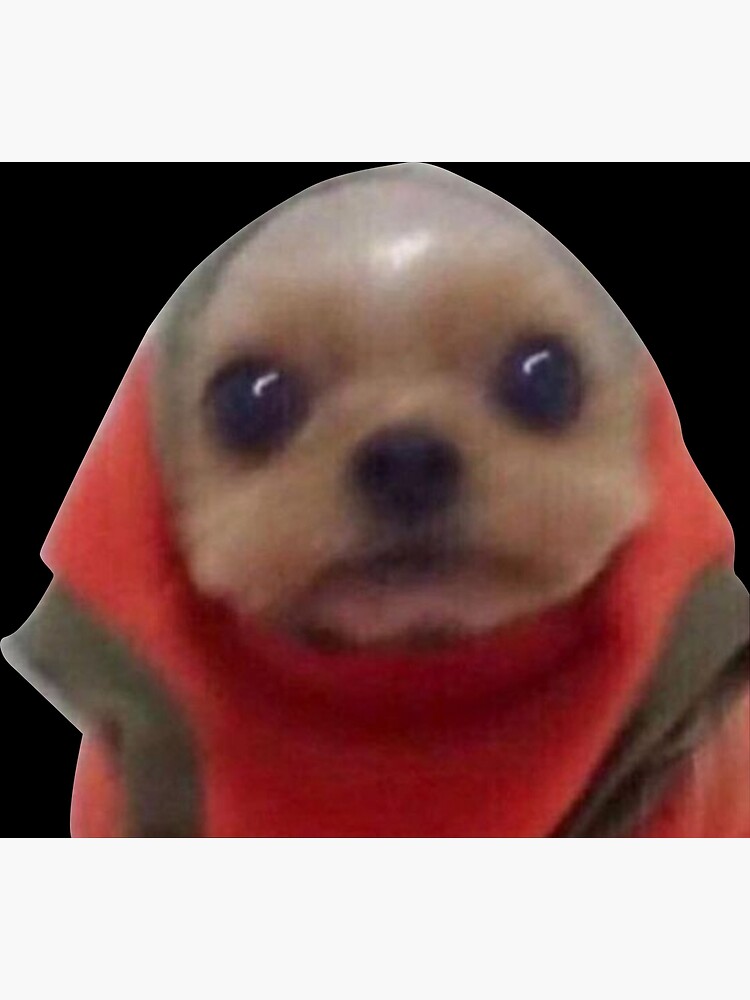 " Cute little dog meme" Art Print for Sale by los-memes | Redbubble