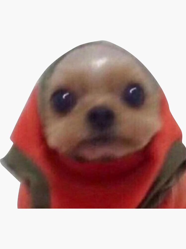 " Cute little dog meme" Sticker by los-memes | Redbubble