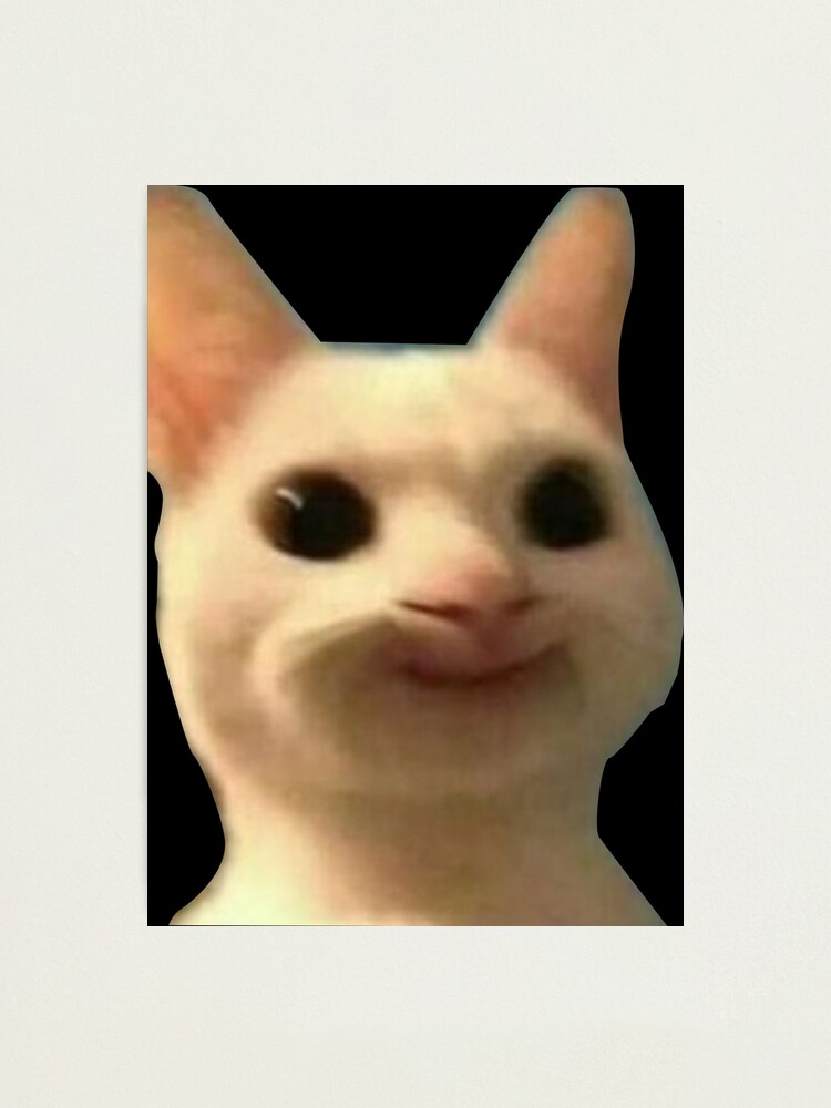 "Smiling cat meme" Photographic Print for Sale by los-memes | Redbubble