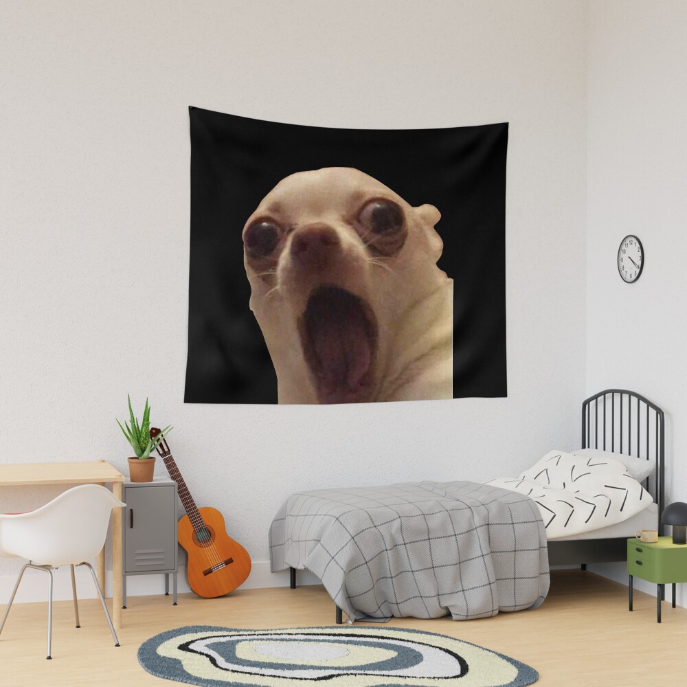"Suprised dog meme" Poster by los-memes | Redbubble
