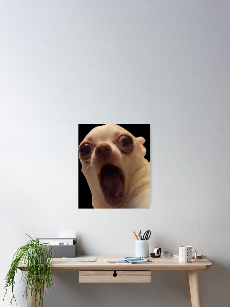 Póster con la obra «meme de perro sorprendido» de los-memes | Redbubble