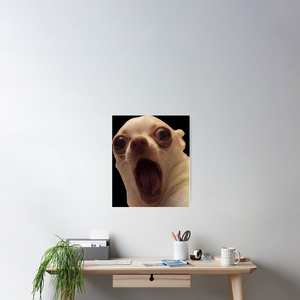 "Suprised dog meme" Poster for Sale by los-memes | Redbubble