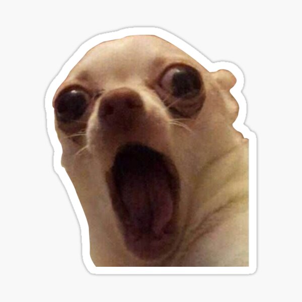 "Suprised dog meme" Sticker by los-memes | Redbubble