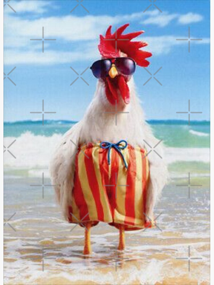 "Chicken Joe" Sticker for Sale by mumam | Redbubble