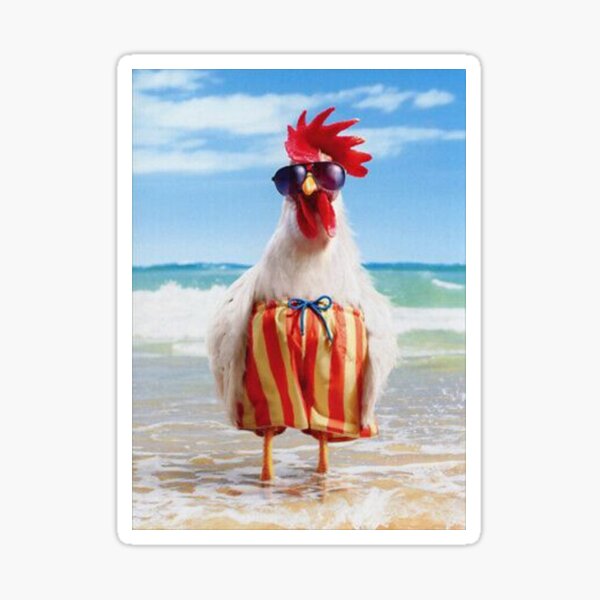 "Chicken Joe" Sticker for Sale by mumam | Redbubble
