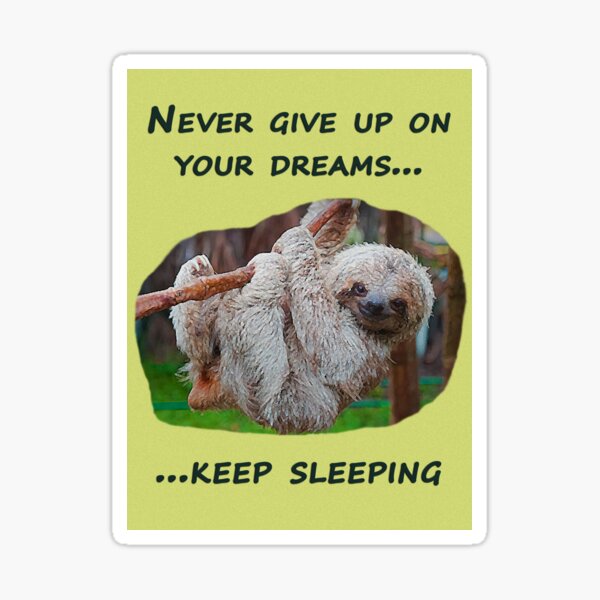 "Sloth meme - Never give up on your dreams... " Sticker for Sale by ...