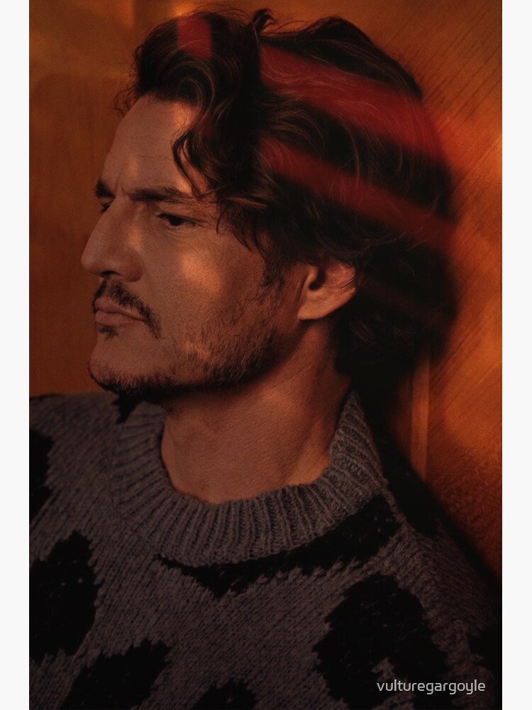 "Pedro Pascal Golden Hour Aesthetic" Sticker for Sale by ...