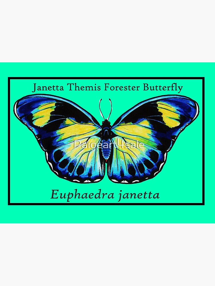 "Janetta Forester Schmetterling beschriftet" Poster von Paigeart4sale ...