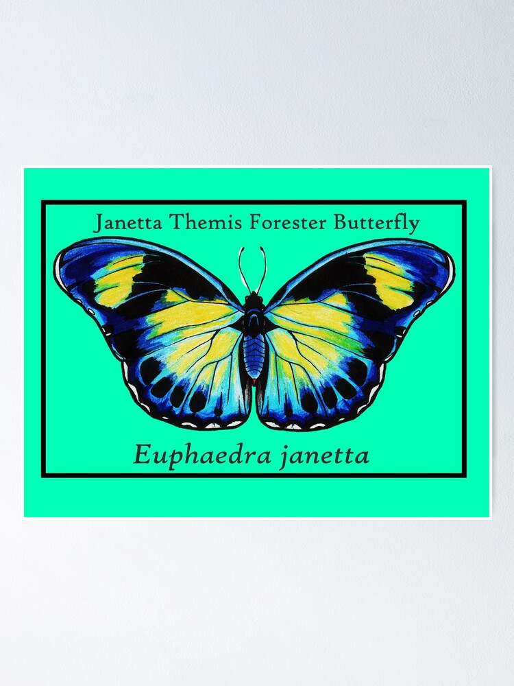 "Janetta Forester Schmetterling beschriftet" Poster von Paigeart4sale ...
