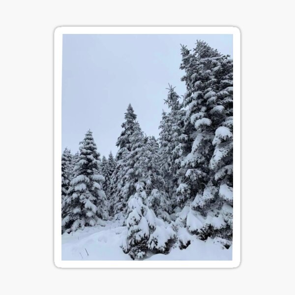 "Winter snow tree" Sticker for Sale by baksuart | Redbubble