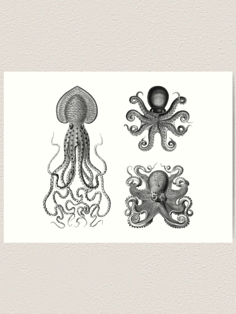 Lámina artística «Octopus Squid Kraken Art Tentacles Seashell Deep Sea ...