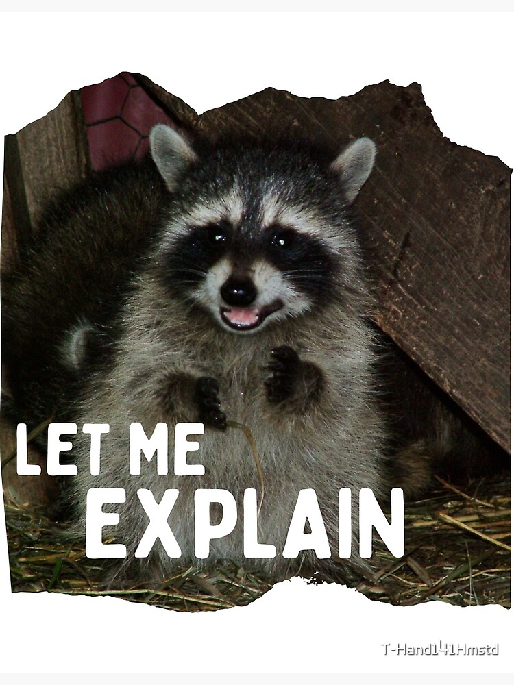 "Let Me Explain" Poster for Sale by T-Hand141Hmstd | Redbubble