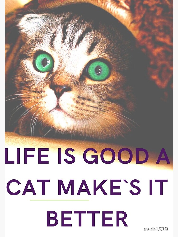 "LIFE IS GOOD A CAT MAKE IT BETTER." Spiral Notebook for Sale by ...