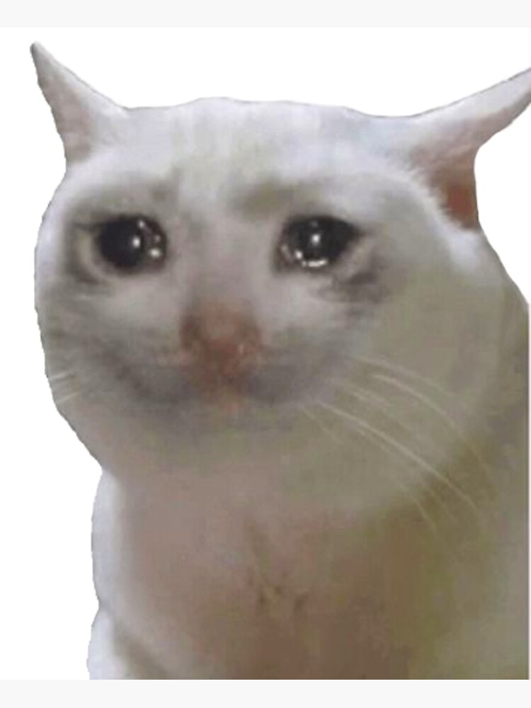 "Sad cat memes" Poster by geicilima | Redbubble