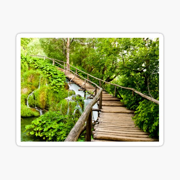 "Wooden Walkway" Sticker by raetucker | Redbubble