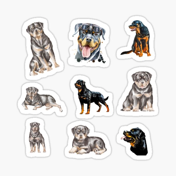 "Brindle Rottweilers / Red Brindle Rottweiler Puppies / Rottweiler ...