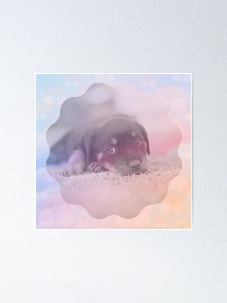 "Brindle Rottweilers / Red Brindle Rottweiler Puppies / Rottweiler ...