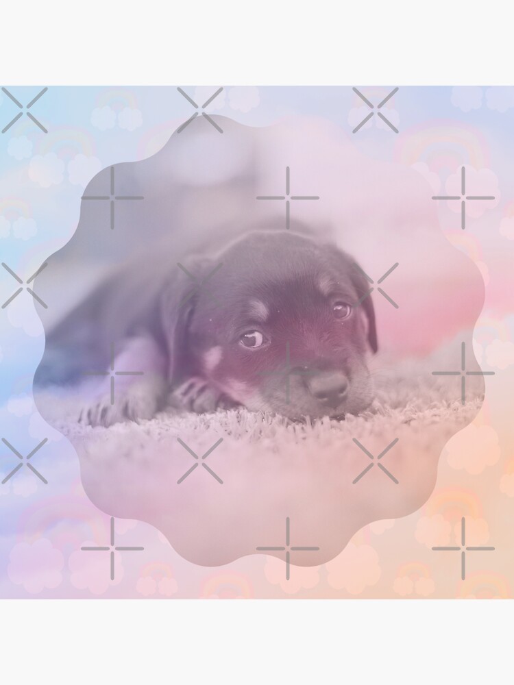 "Brindle Rottweilers / Red Brindle Rottweiler Puppies / Rottweiler ...