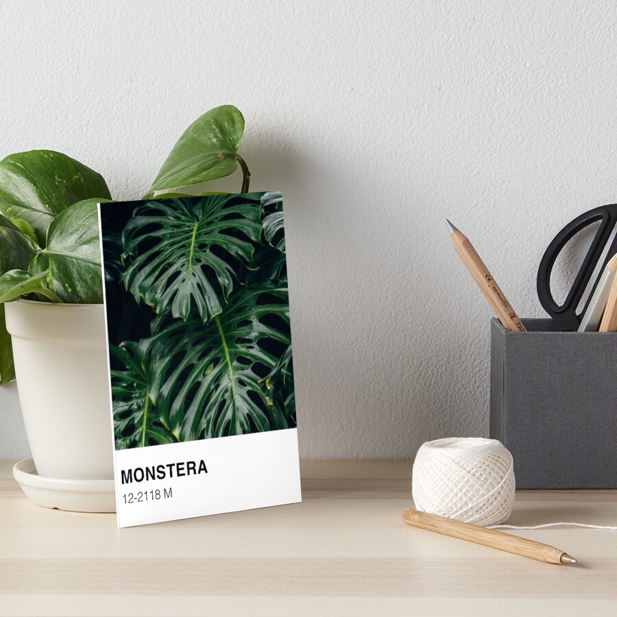 "Monstera Paint Swatch Hipster/Trendy/Tumblr Meme" Art Board Print by ...