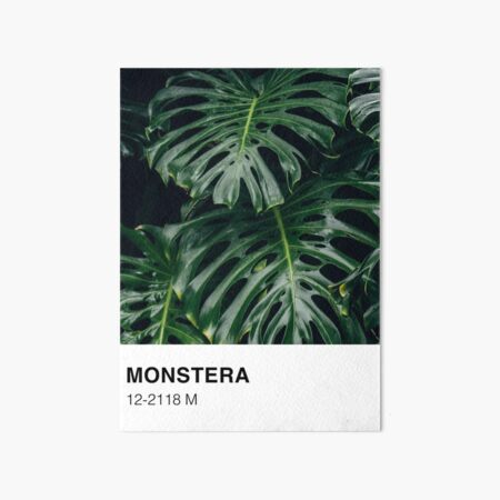"Monstera Paint Swatch Hipster/Trendy/Tumblr Meme" Art Board Print by ...