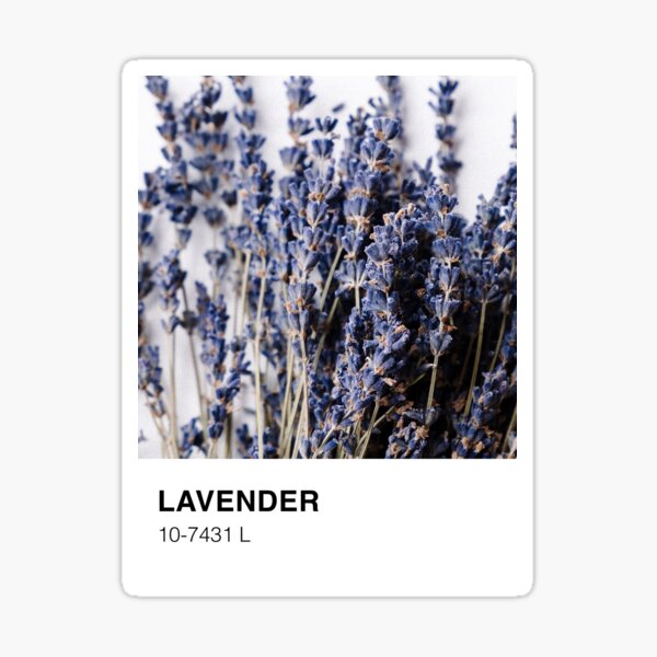 "Lavender Paint Swatch Hipster/Trendy/Tumblr Meme" Sticker by vrai-chic ...