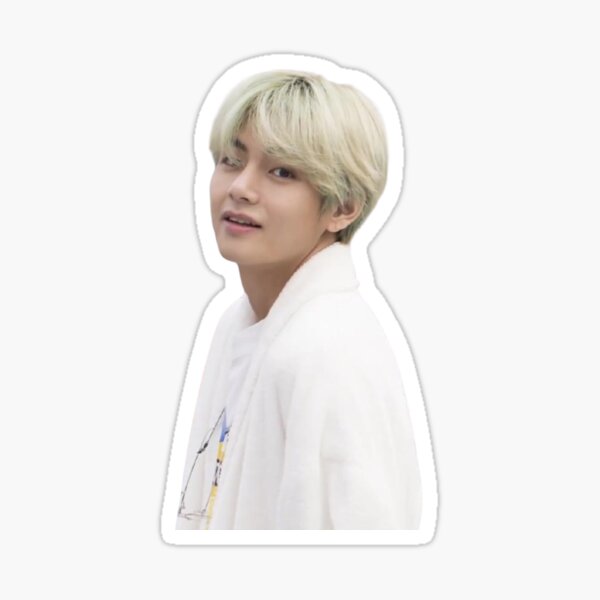 "V BTS member" Sticker for Sale by IHCreates | Redbubble