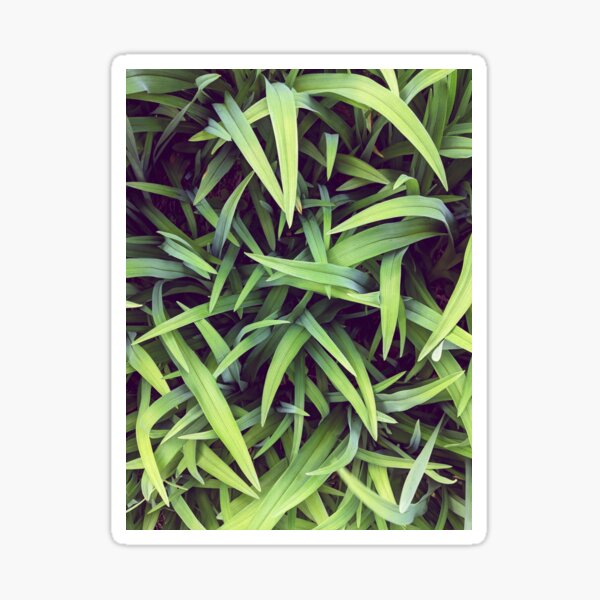 "Grass Blades Texture" Sticker by sage-and-time | Redbubble