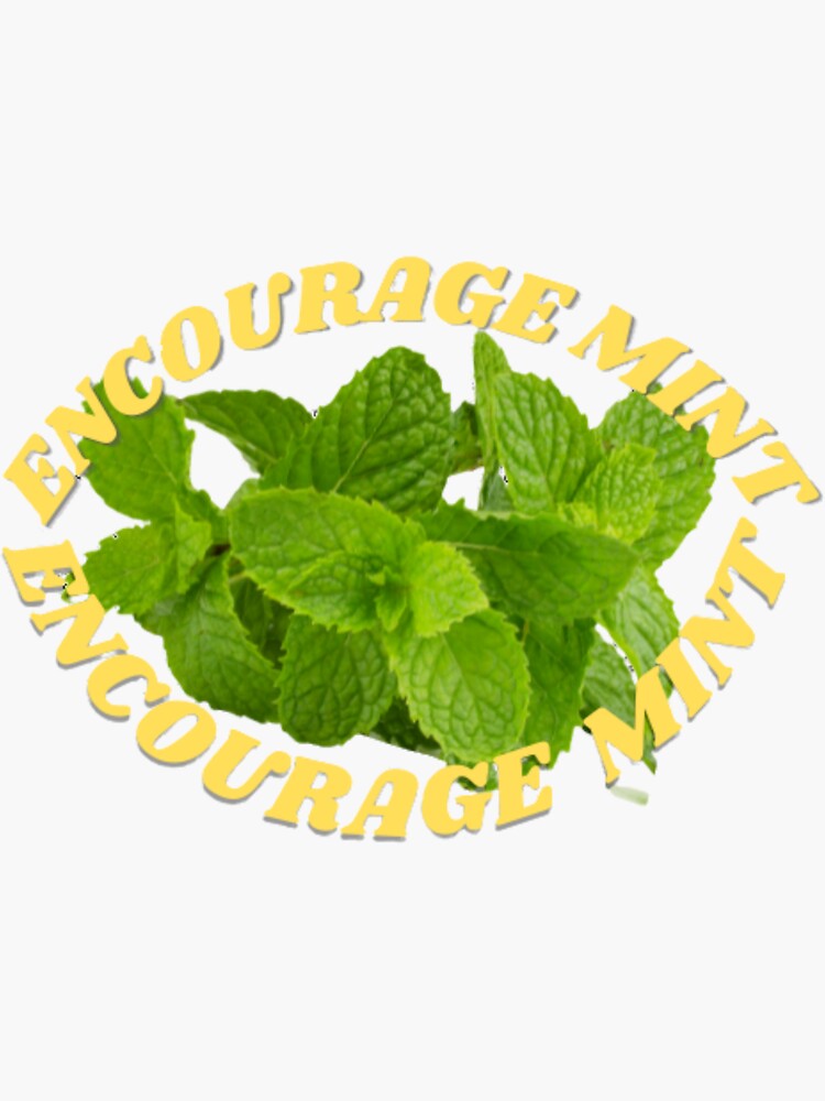 "Encourage Mint" Sticker for Sale by Iryna73 | Redbubble