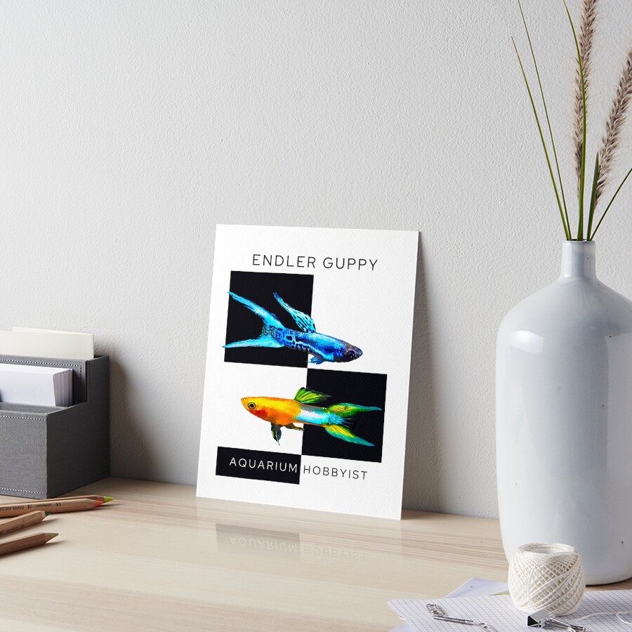 "Endler Guppy" Poster for Sale by GFishy | Redbubble