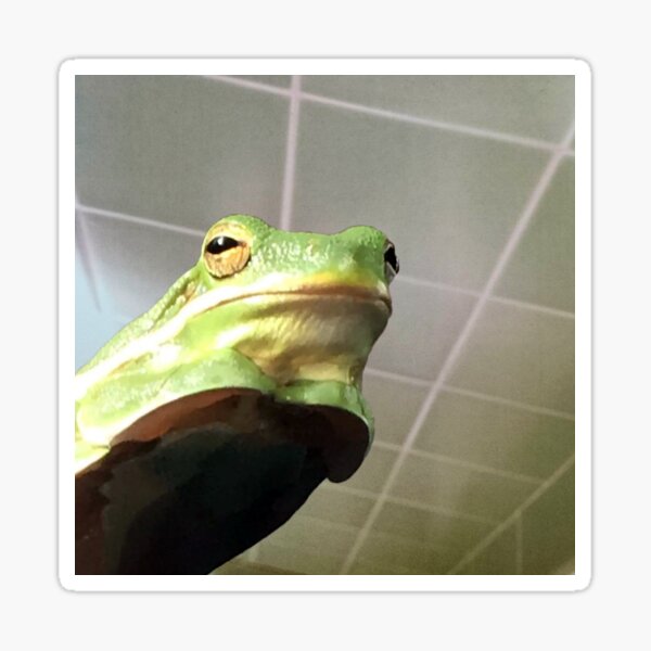 "no love deep frog" Sticker for Sale by doopsmaster | Redbubble