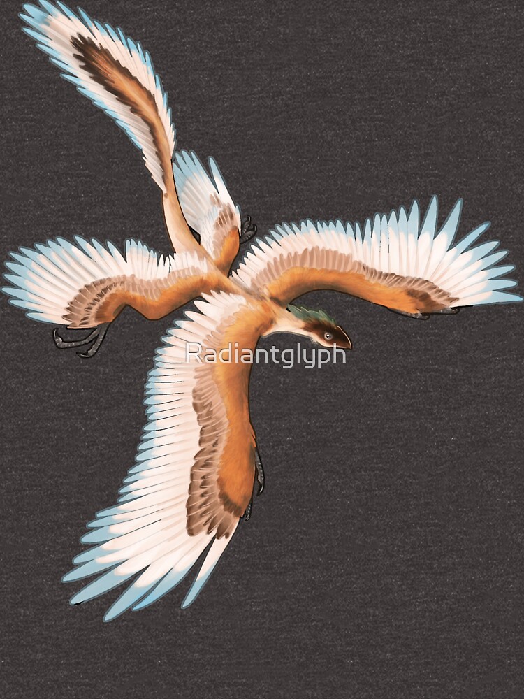 "Microraptor Gui (Brown)" T-shirt for Sale by Radiantglyph | Redbubble ...