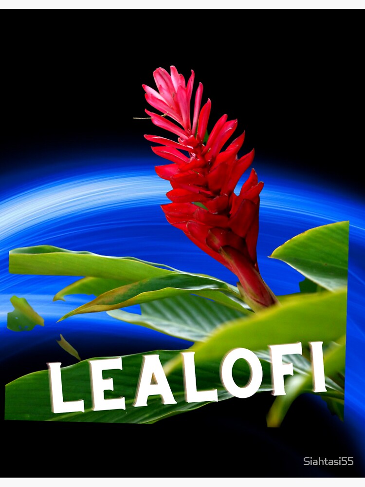 Pegatina «Lealofi (Lofi) famoso nombre polinesio samoano Pago Pago ...