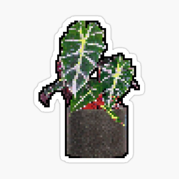 "Alocasia Pixel Plant" Sticker for Sale by yourfriendashna | Redbubble