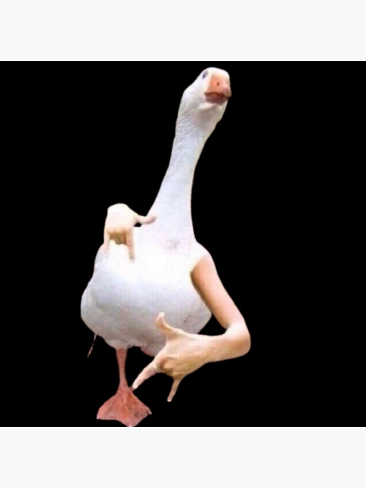 "duck with human arms meme" Poster by Chelsea-FC | Redbubble