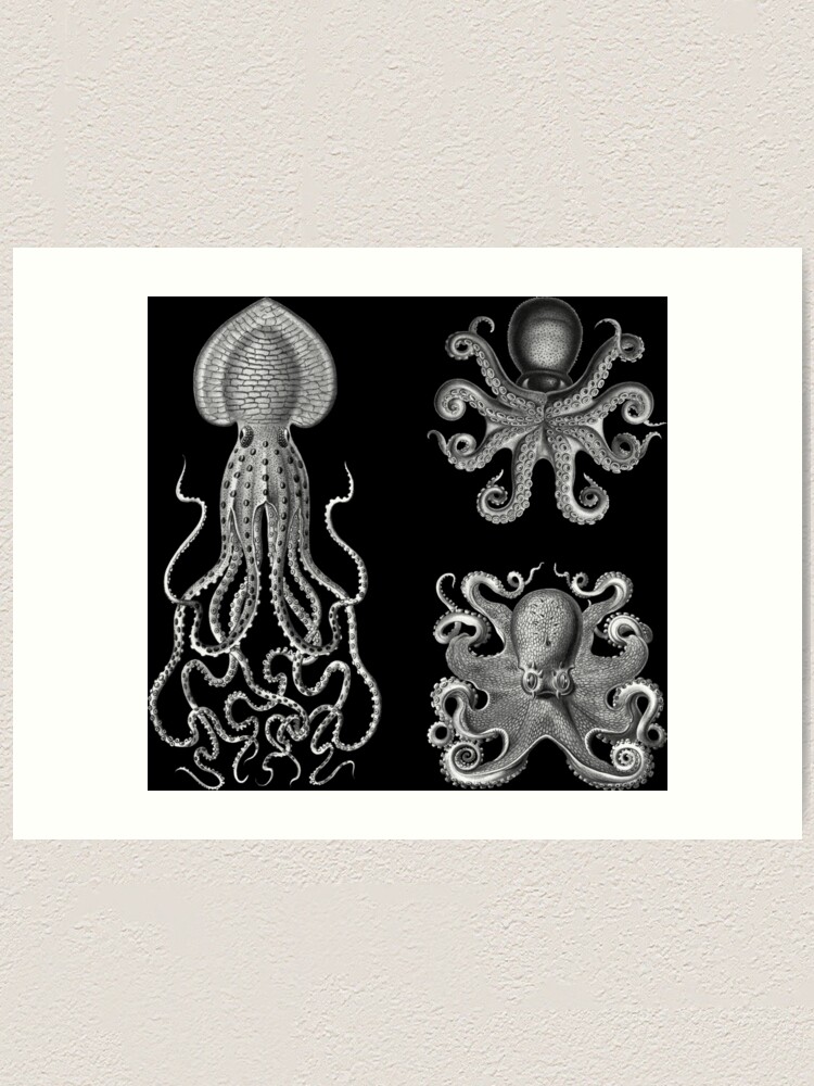 Lámina artística «Octopus Squid Kraken Art Tentacles Seashell Deep Sea ...