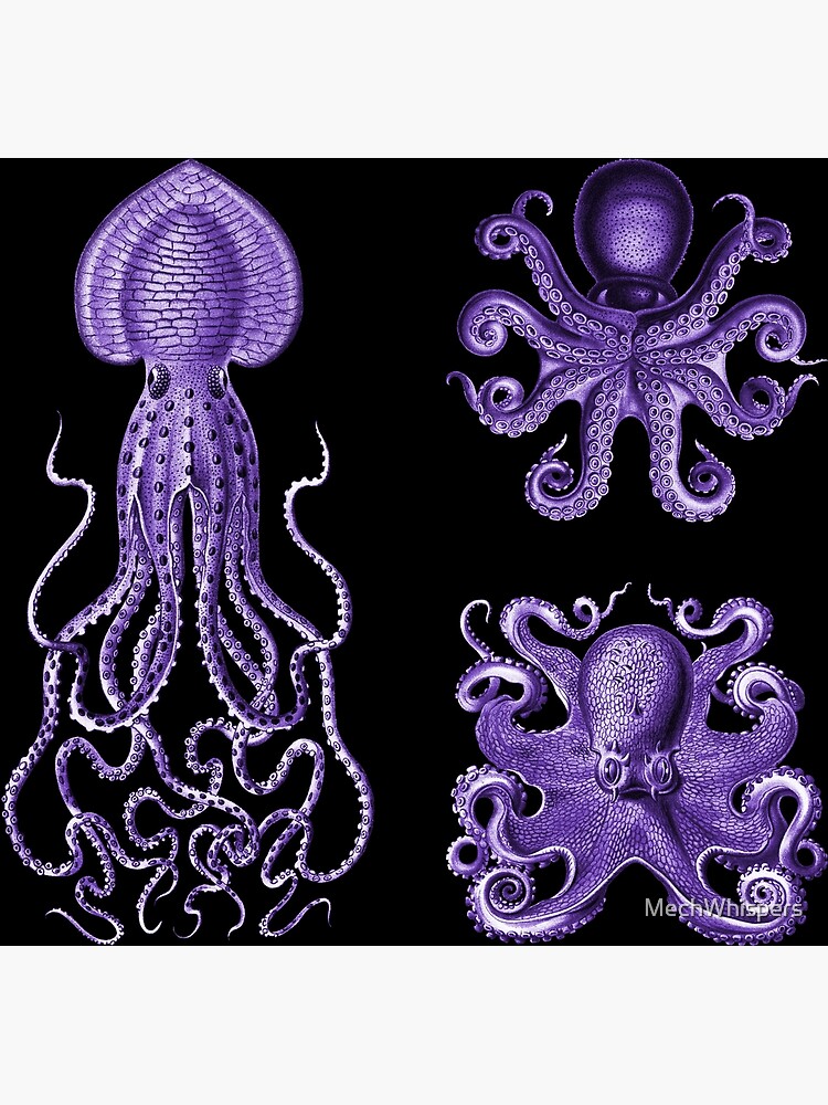 "Octopus Squid Kraken Art Tentacles Seashell Deep Sea Ocean Creatures ...