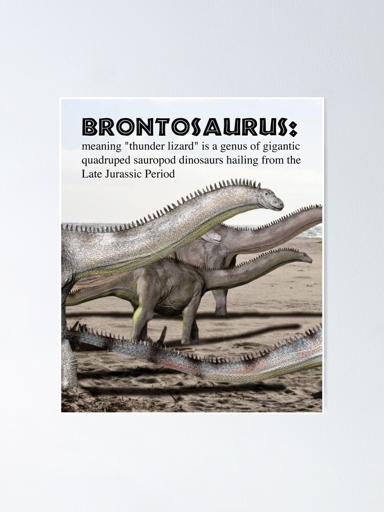 "65 MCMLXV Brontosaurus Jurassic Prehistoric Dinosaur Design" Poster ...