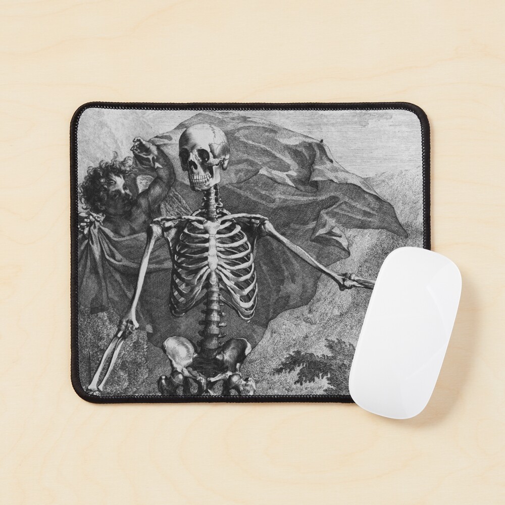 "Albinus Skeleton Human Anatomy Vintage Ecorche Engraving Spooky ...