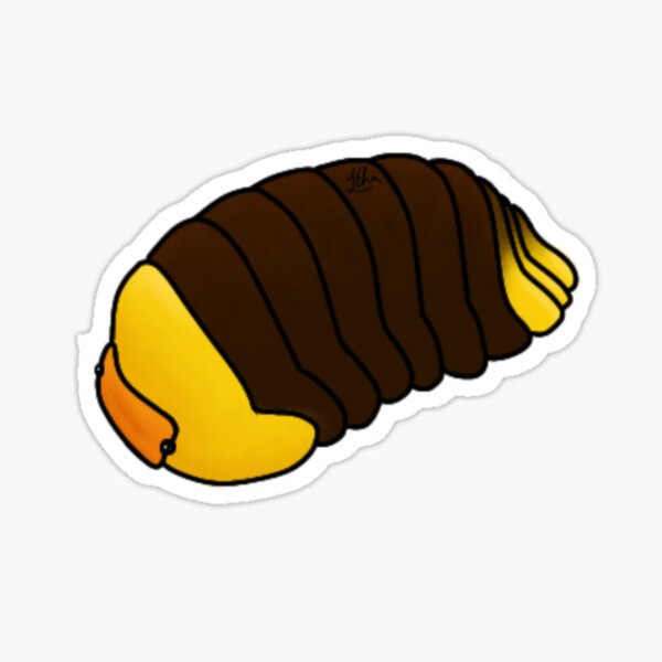 "Copy of Cubaris spec. “Rubber Ducky” isopod" Sticker for Sale by ...
